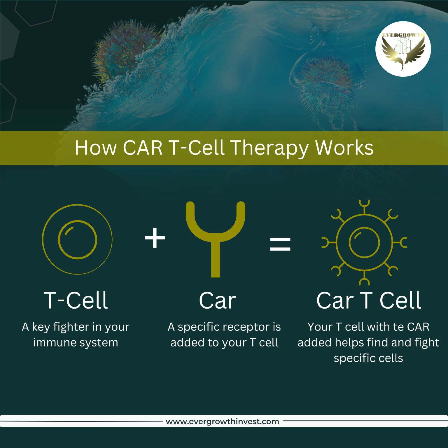 How CAR-T Cell Therapy Works - Evergrowth BioHealthcare Capital